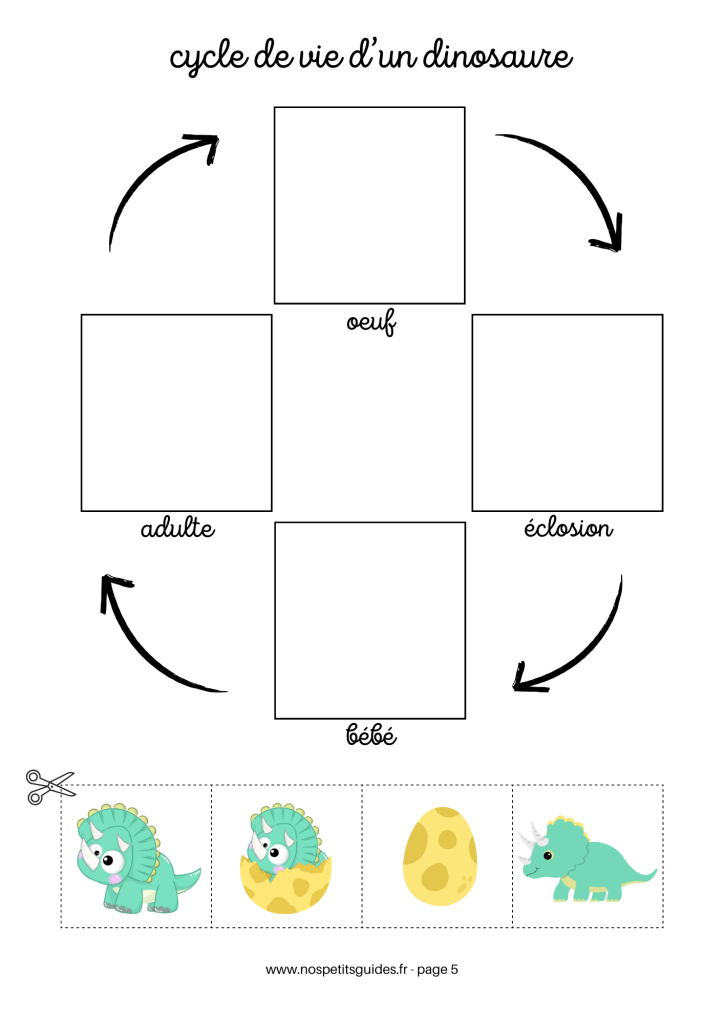 cahier d’activités Dinosaures – Nos petits guides